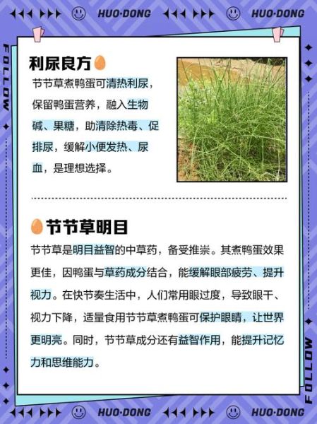 节节草的功效与作用_节节草能治什么病-第1张图片-山城妙识