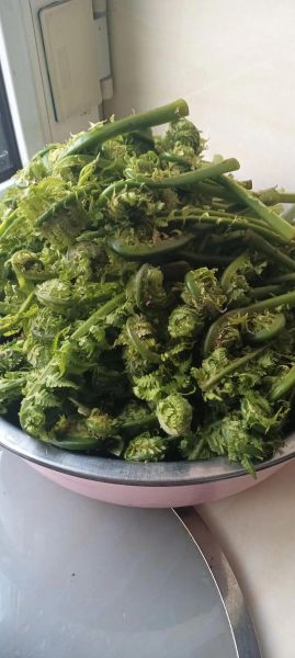 山野菜怎么做好吃_山野菜的做法大全-第3张图片-山城妙识