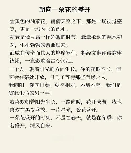 油菜花歌词含义_油菜花背后的故事-第3张图片-山城妙识