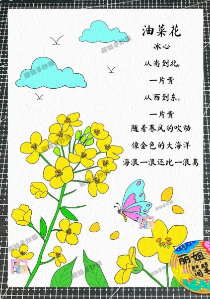 油菜花歌词含义_油菜花背后的故事-第1张图片-山城妙识
