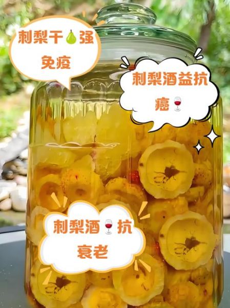 干刺梨泡水喝的适宜人群_哪些人不能喝干刺梨水-第1张图片-山城妙识 干刺梨泡水喝的适宜人群_哪些人不能喝干刺梨水-第1张图片-山城妙识