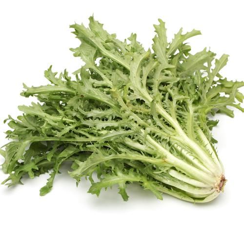 苦苣图片大全_苦苣长什么样-第2张图片-山城妙识 苦苣图片大全_苦苣长什么样-第2张图片-山城妙识