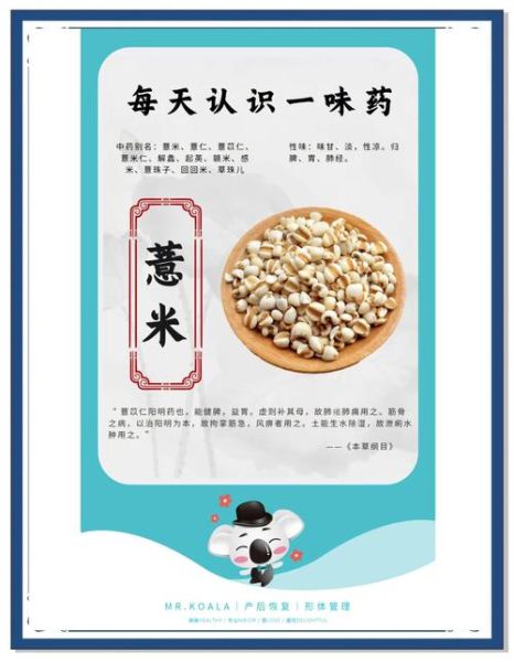 薏仁的功效与作用_薏仁的主治有哪些-第3张图片-山城妙识