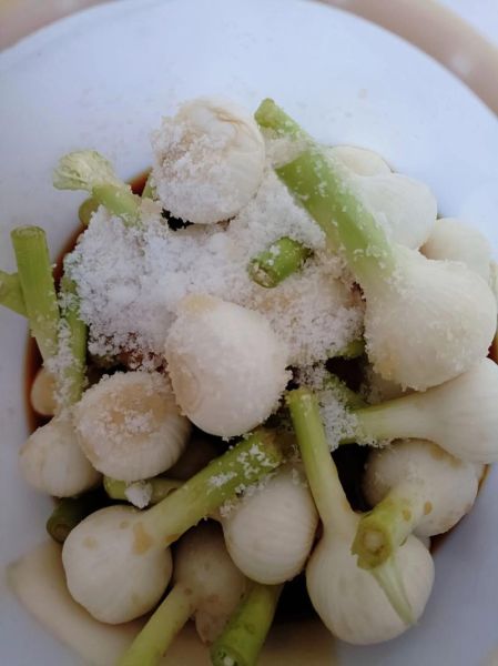 醋大蒜怎么腌制_醋大蒜的腌制方法-第3张图片-山城妙识 醋大蒜怎么腌制_醋大蒜的腌制方法-第3张图片-山城妙识