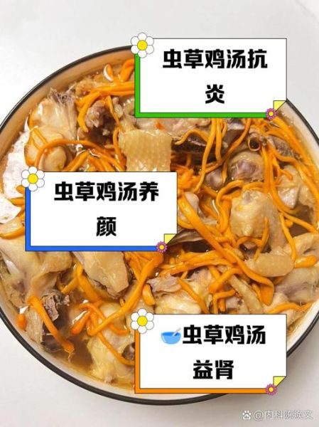 虫草鸡汤的功效与作用_虫草鸡汤怎么炖最营养-第2张图片-山城妙识