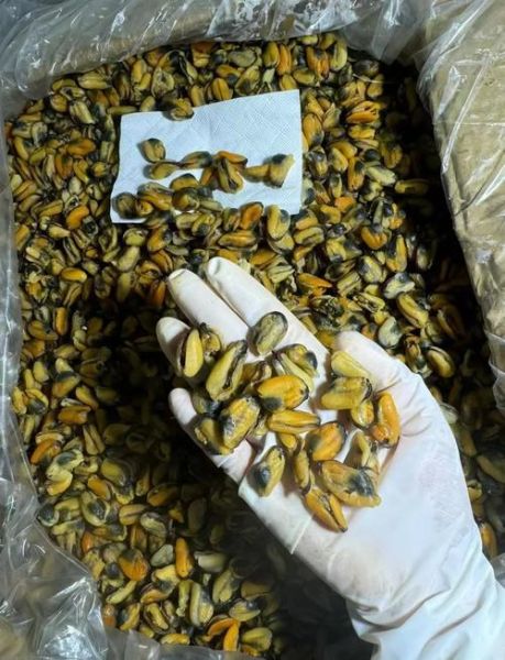 爆炒淡菜干怎么做_淡菜干要不要提前泡发-第1张图片-山城妙识