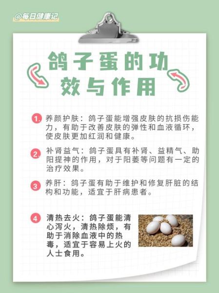 长期吃鸽子蛋的好处_鸽子蛋的营养价值-第1张图片-山城妙识