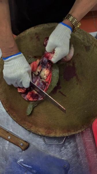 甲鱼怎么杀_甲鱼清洗方法-第1张图片-山城妙识