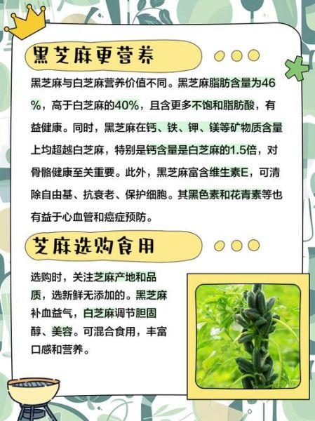 芝麻有什么功效_黑芝麻和白芝麻哪个更营养-第1张图片-山城妙识