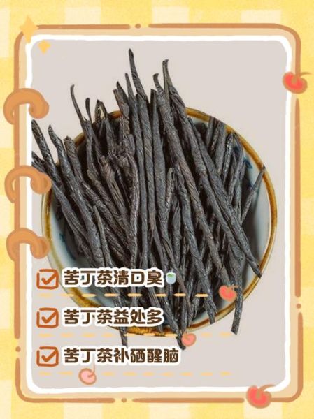 野生苦丁茶的功效与作用_野生苦丁茶能减肥吗-第1张图片-山城妙识