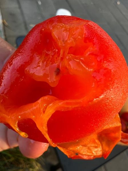 柿子有什么功效与作用_吃柿子能降火吗-第3张图片-山城妙识 柿子有什么功效与作用_吃柿子能降火吗-第3张图片-山城妙识