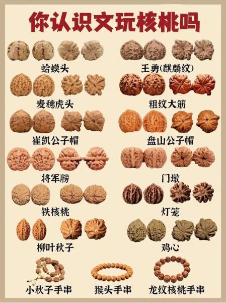 文玩核桃图片大全大图_如何挑选高配对-第1张图片-山城妙识 文玩核桃图片大全大图_如何挑选高配对-第1张图片-山城妙识