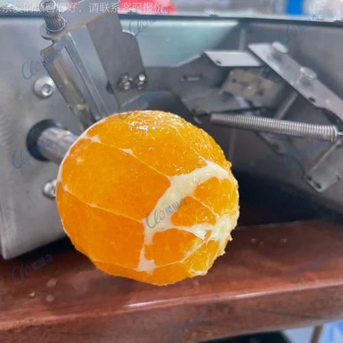 柳丁是什么水果_柳丁和橙子的区别-第1张图片-山城妙识