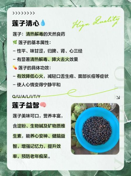 莲子功效与作用_莲子禁忌用量是多少-第1张图片-山城妙识 莲子功效与作用_莲子禁忌用量是多少-第1张图片-山城妙识