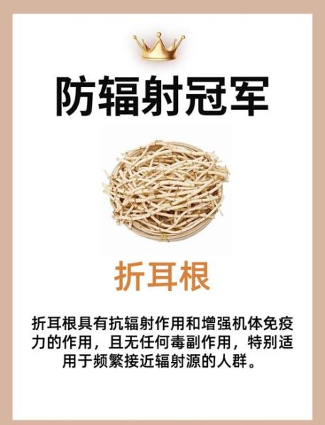 防辐射食物有哪些_哪些食物防辐射最有效-第1张图片-山城妙识 防辐射食物有哪些_哪些食物防辐射最有效-第1张图片-山城妙识