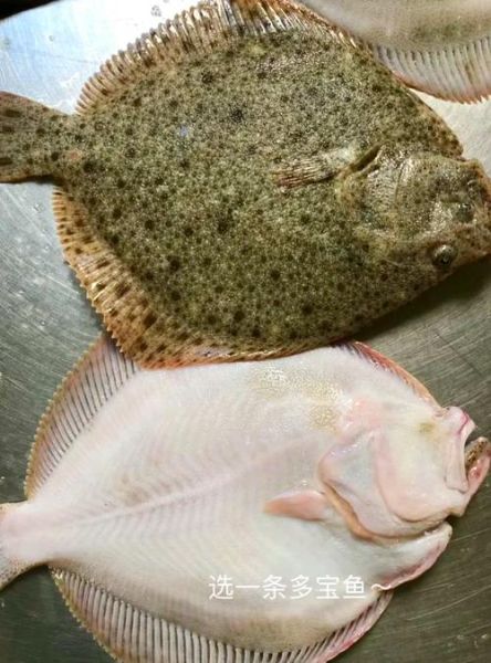 清蒸多宝鱼怎么蒸才鲜嫩_多宝鱼蒸几分钟最佳-第3张图片-山城妙识