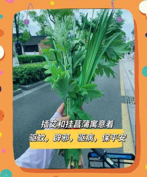 端午节挂艾草的寓意_为什么挂艾草能驱邪避瘟-第2张图片-山城妙识