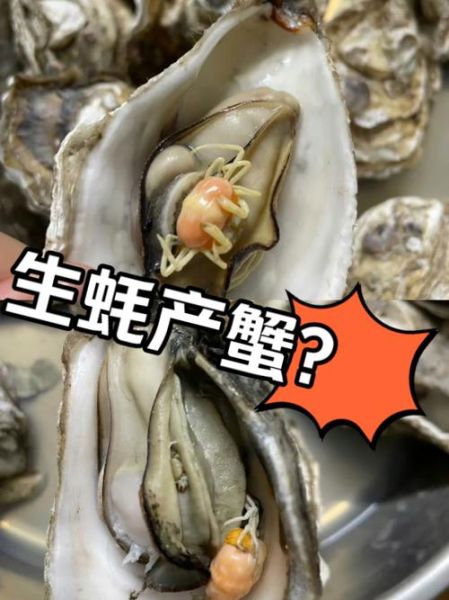 生蚝不撬开能直接蒸吗_蒸多久才熟-第1张图片-山城妙识