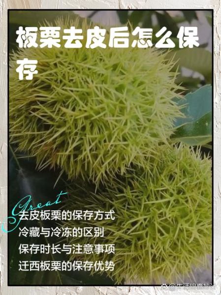 板栗去皮后怎么保存_去皮板栗能放多久-第1张图片-山城妙识 板栗去皮后怎么保存_去皮板栗能放多久-第1张图片-山城妙识