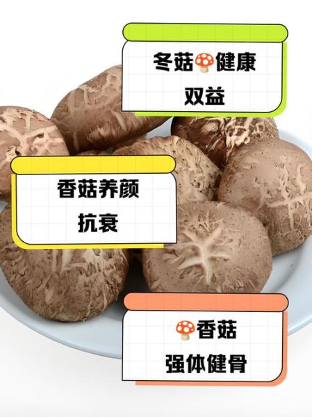 冬菇的营养价值_冬菇的功效与作用-第2张图片-山城妙识