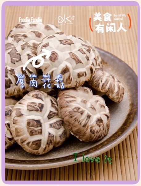 冬菇的营养价值_冬菇的功效与作用-第3张图片-山城妙识
