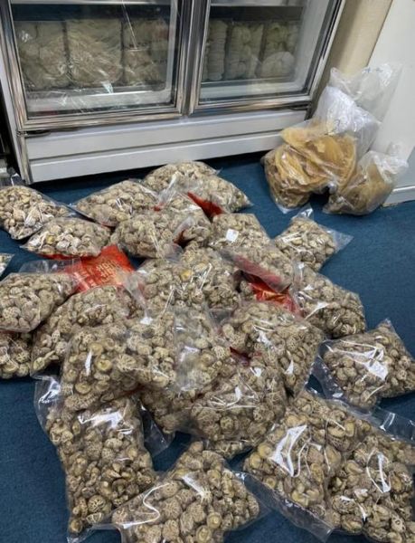 冬菇的营养价值_冬菇的功效与作用-第1张图片-山城妙识