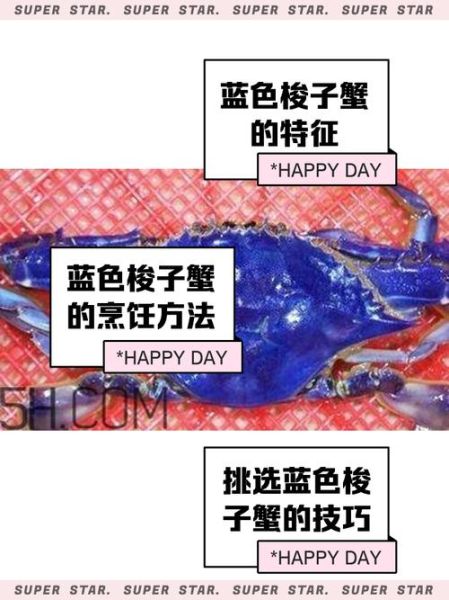 梭子蟹多少钱一斤_梭子蟹价格受哪些因素影响-第3张图片-山城妙识