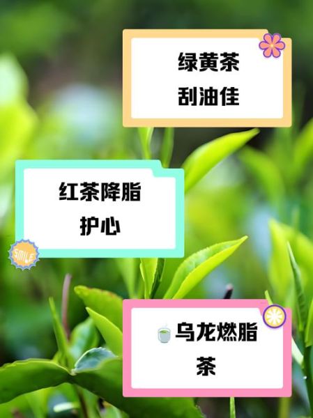 哪种绿茶最刮油_绿茶减肥喝多久见效-第2张图片-山城妙识 哪种绿茶最刮油_绿茶减肥喝多久见效-第2张图片-山城妙识