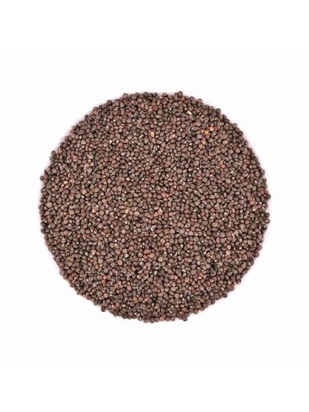 紫苏子长什么样_紫苏子植物图片怎么识别-第1张图片-山城妙识