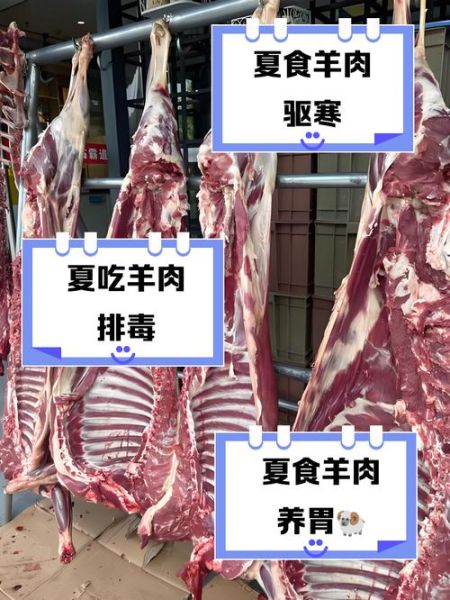 夏天吃羊肉好吗_夏天吃羊肉会上火吗-第1张图片-山城妙识 夏天吃羊肉好吗_夏天吃羊肉会上火吗-第1张图片-山城妙识