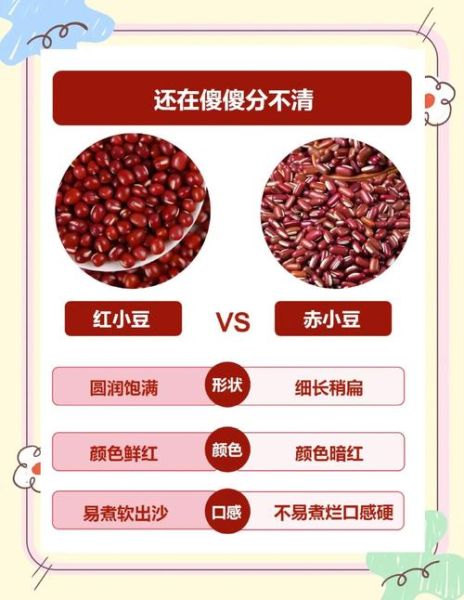 红豆与赤小豆的区别_赤小豆是红豆吗-第1张图片-山城妙识