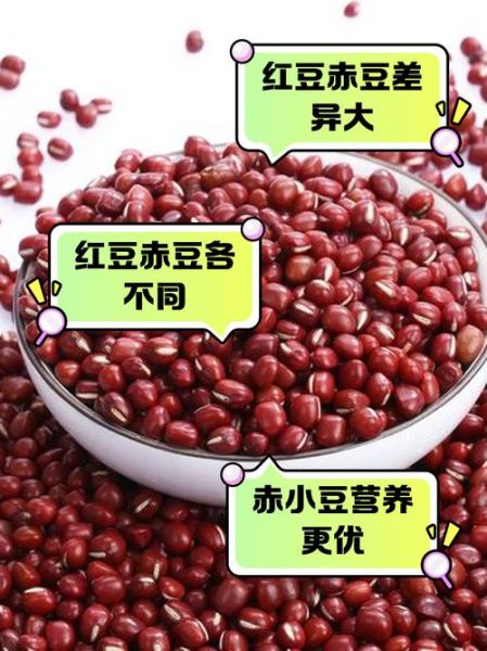 红豆与赤小豆的区别_赤小豆是红豆吗-第2张图片-山城妙识