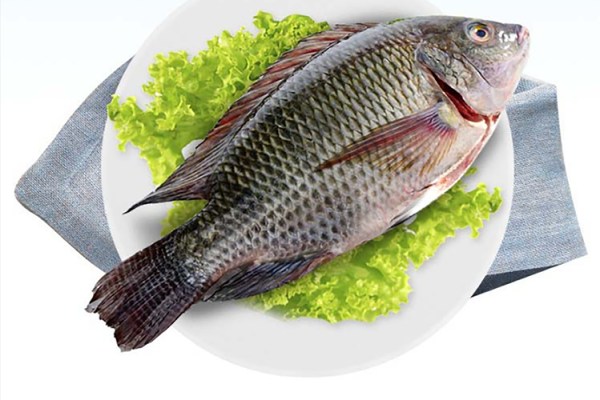 罗非鱼图片大全大图_罗非鱼高清图鉴-第3张图片-山城妙识 罗非鱼图片大全大图_罗非鱼高清图鉴-第3张图片-山城妙识