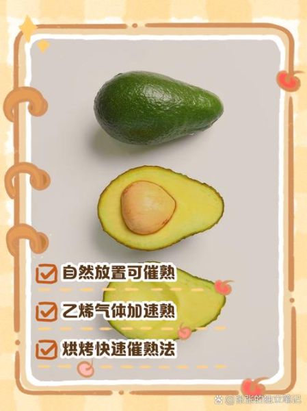 牛油果怎么催熟最快_最快催熟牛油果的方法-第3张图片-山城妙识