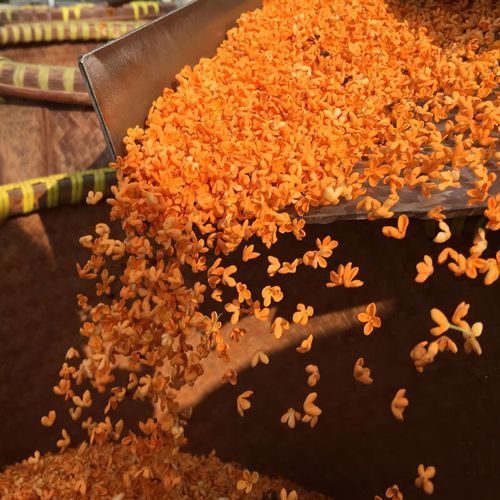 糖桂花多少钱一瓶_正宗糖桂花价格表-第3张图片-山城妙识