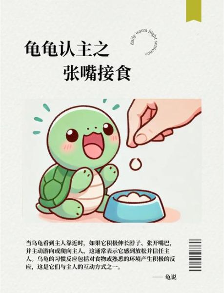乌龟养久了会认主人吗_乌龟认主人的表现有哪些-第1张图片-山城妙识 乌龟养久了会认主人吗_乌龟认主人的表现有哪些-第1张图片-山城妙识