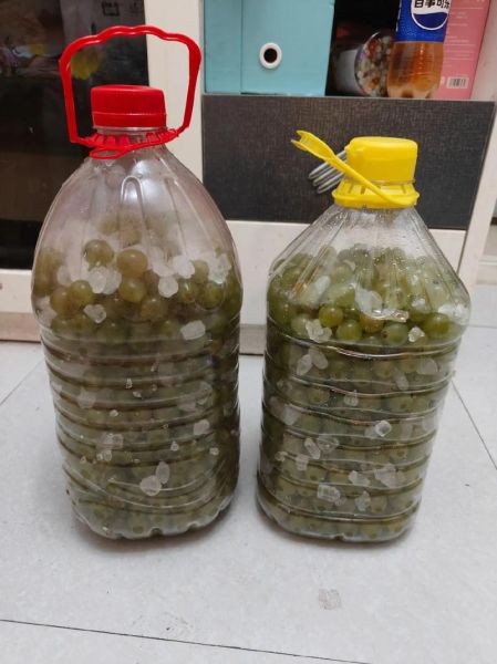 家庭自酿葡萄酒怎么做_自制葡萄酒需要哪些材料-第1张图片-山城妙识