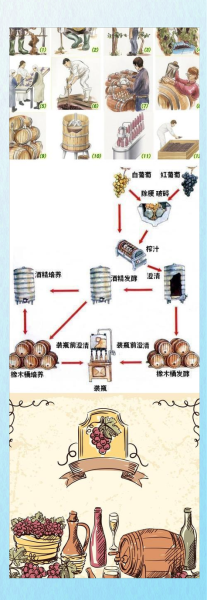 葡萄酒的制作方法_葡萄酒酿造步骤-第2张图片-山城妙识