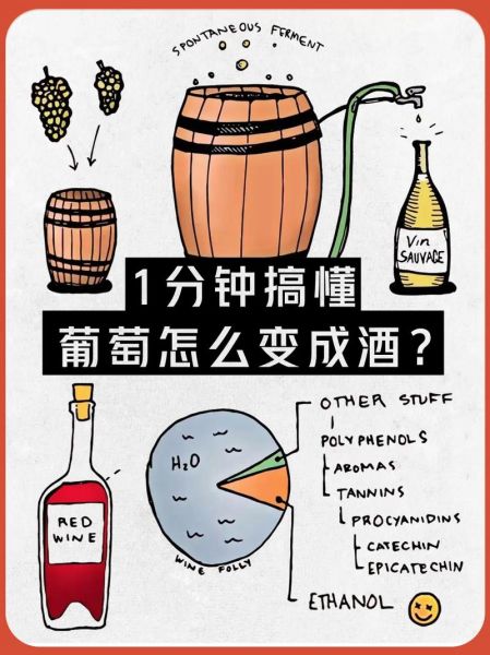 葡萄酒的制作方法_葡萄酒酿造步骤-第3张图片-山城妙识