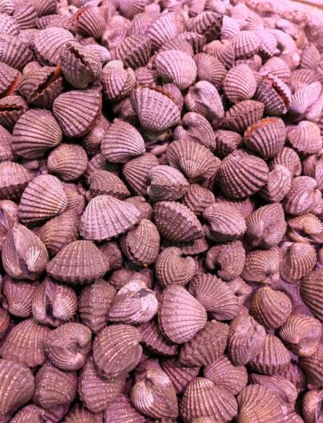 毛蚶甲肝传播途径_如何预防毛蚶甲肝-第2张图片-山城妙识