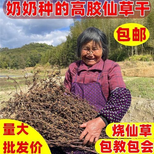 烧仙草配料有哪些_烧仙草里都有什么料-第1张图片-山城妙识