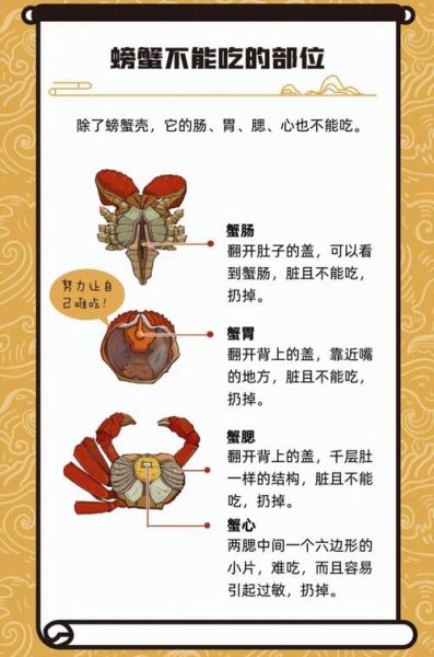 帝王蟹哪些部位不能吃_帝王蟹不能吃的部分图解-第1张图片-山城妙识
