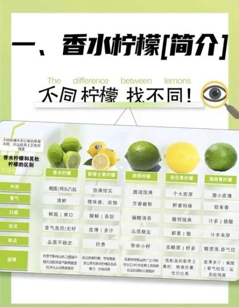 柠檬是酸性还是碱性_柠檬水是酸性还是碱性-第1张图片-山城妙识