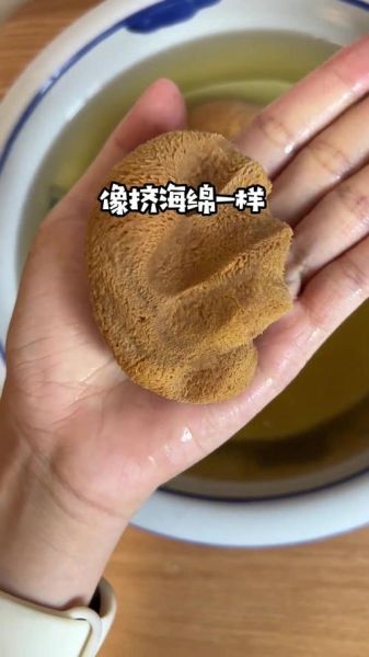 干猴头菇怎么泡发_猴头菇泡发多久-第2张图片-山城妙识 干猴头菇怎么泡发_猴头菇泡发多久-第2张图片-山城妙识