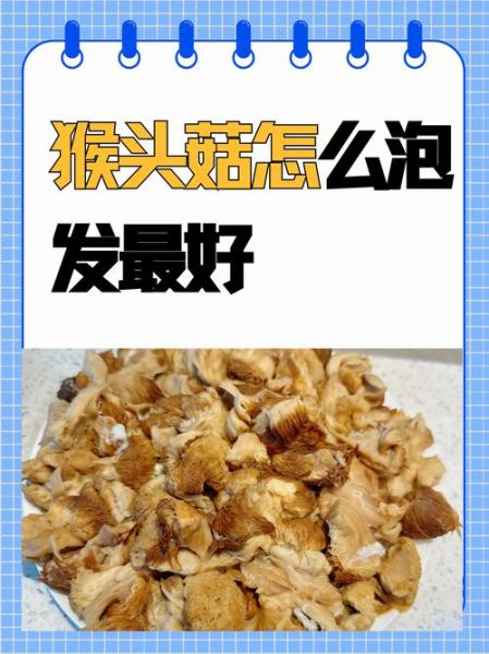 干猴头菇怎么泡发_猴头菇泡发多久-第3张图片-山城妙识 干猴头菇怎么泡发_猴头菇泡发多久-第3张图片-山城妙识