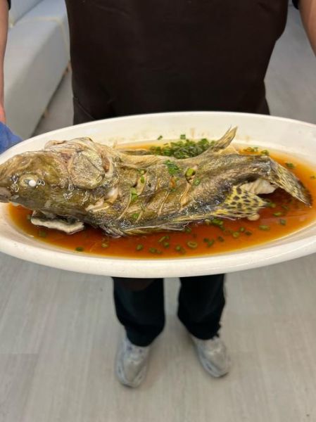 臭桂鱼可以清蒸吗_清蒸臭桂鱼做法-第1张图片-山城妙识