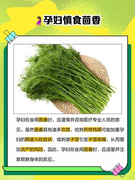 茴香苗什么人不能吃_茴香苗禁忌有哪些-第1张图片-山城妙识