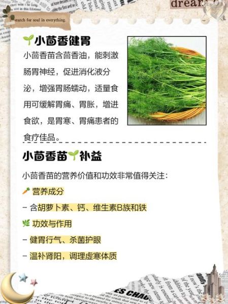 茴香苗什么人不能吃_茴香苗禁忌有哪些-第2张图片-山城妙识