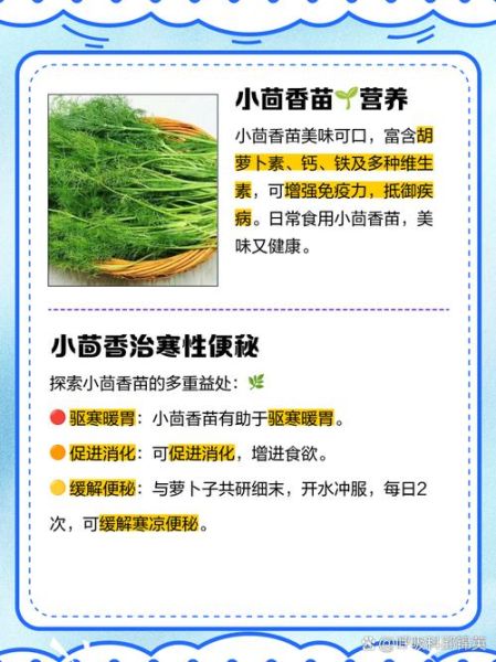 茴香苗什么人不能吃_茴香苗禁忌有哪些-第3张图片-山城妙识