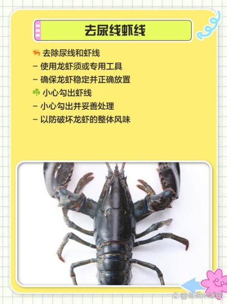 澳洲龙虾怎么清洗_澳洲龙虾清洗步骤-第1张图片-山城妙识 澳洲龙虾怎么清洗_澳洲龙虾清洗步骤-第1张图片-山城妙识